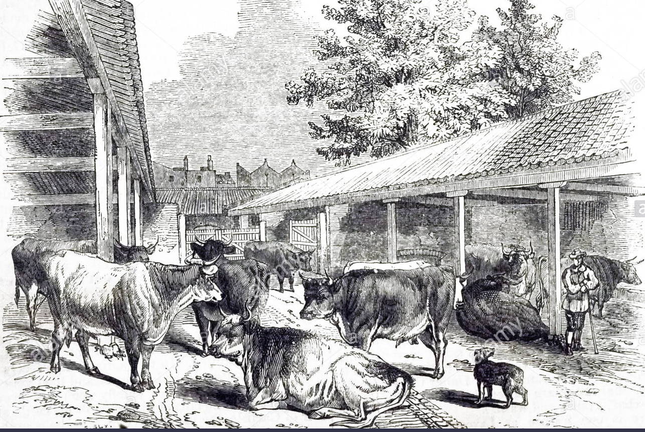Farming in Martham, c1800, viewed through the eyes of Thomas Francis ...