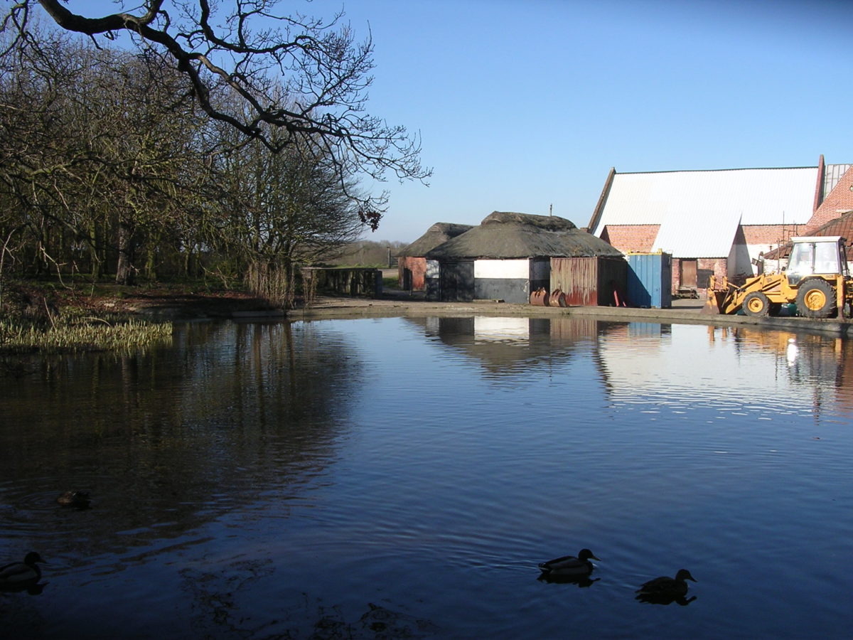 Moregrove – History of Martham, Norfolk