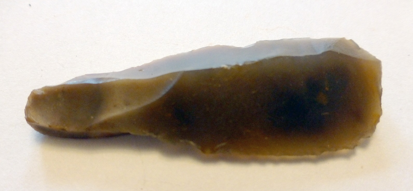 🦕Prehistoric Martham