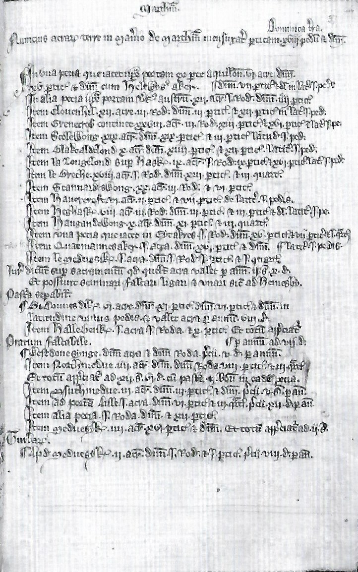 Stowe Survey (1292) – unique to Martham - Home of the History of ...